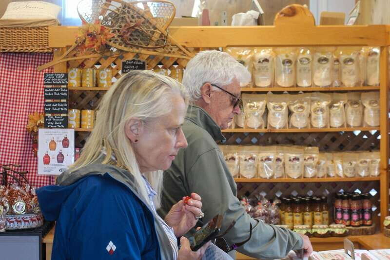 Quebec City - Agricultural Walking Tour on Ile d'Orléans - Why Choose the Quebec City Agricultural Walking Tour?