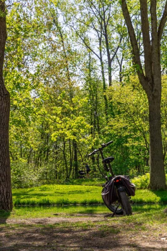 Quebec City: E-Bike Tour to Le Grand Marché - Food Scene - Exploring Beyond Old Québec