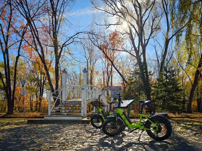 Quebec City: E-Bike Tour to Le Grand Marché - Food Scene - The practical side: What to expect