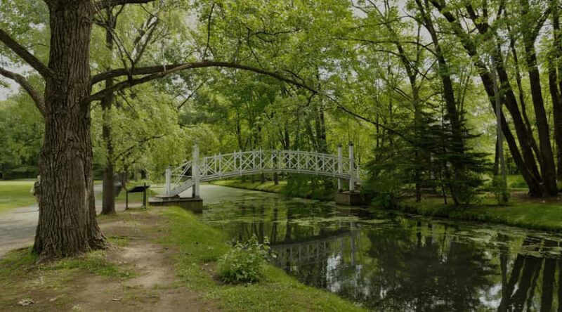 Quebec City: E-Bike Tour to Le Grand Marché - Food Scene - Who will love this tour?