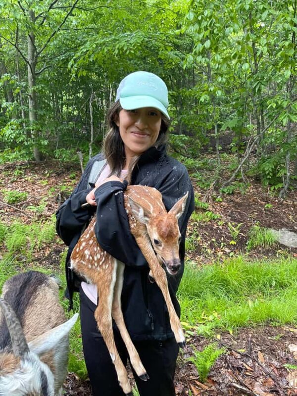 Quebec City: Guided Goat Hike & Beaver Dam Visit with Picnic - Final Thoughts