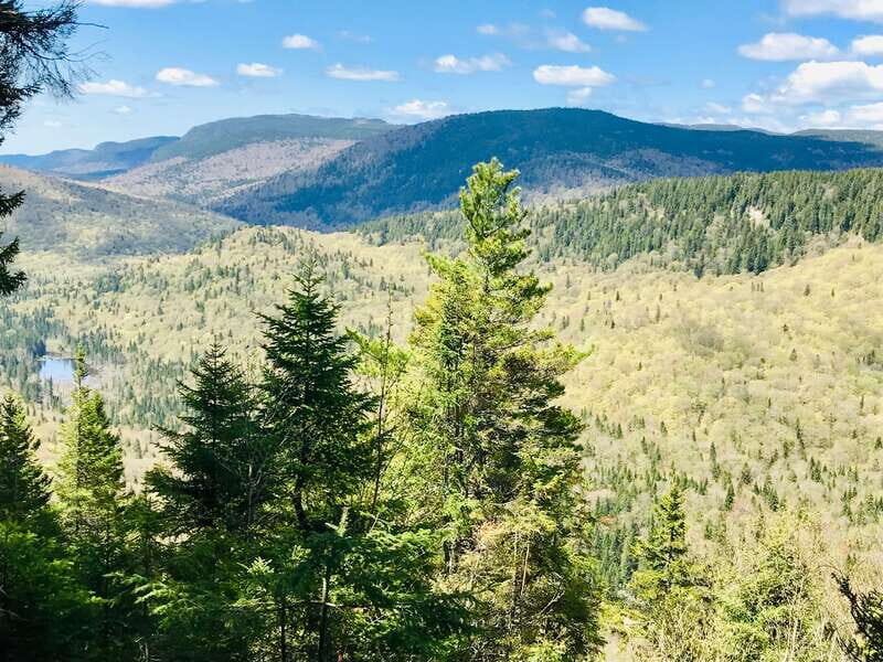 Quebec City: Guided Hike in Jacques-Cartier National Park - Who Will Enjoy This Tour Most?