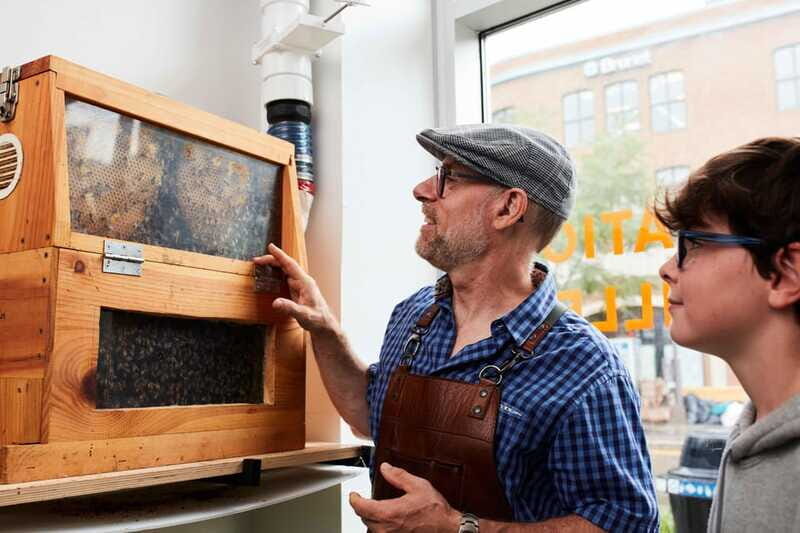 Quebec City: Honey and Distillery Tour with Tasting - Who Will Love This Experience?