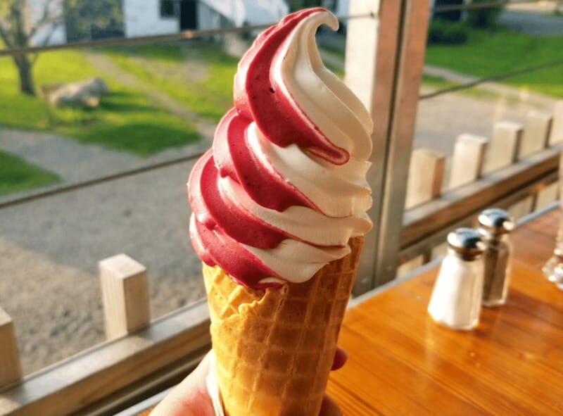 Quebec City: Island of Orléans Taste Trail - Value and Pricing
