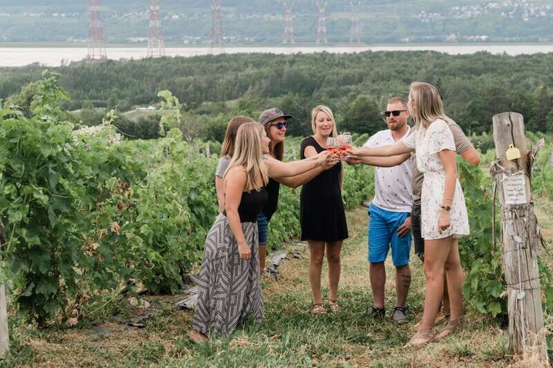 Quebec City: Island of Orleans Wine Tour - Key Points
