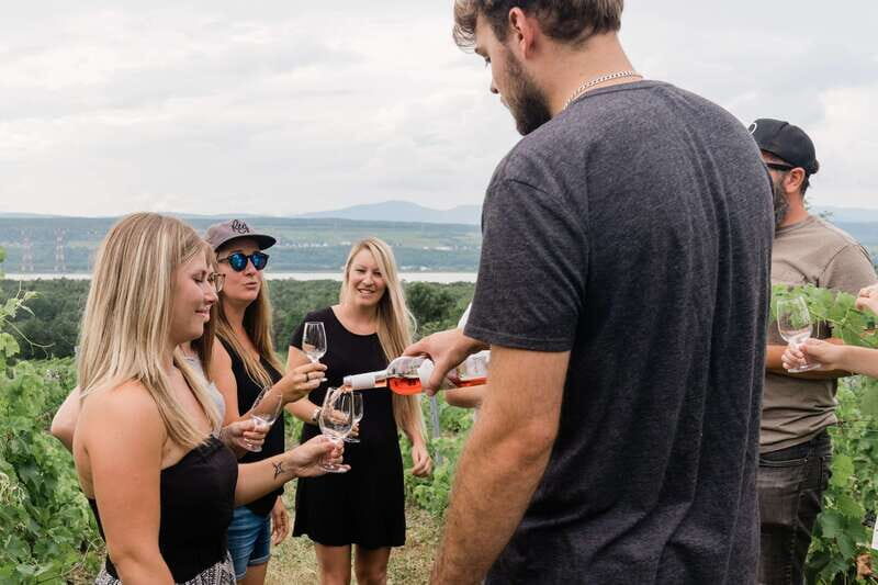 Quebec City: Island of Orleans Wine Tour - An Overview of the Experience
