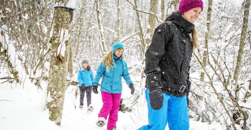 Quebec City: Jacques-Cartier National Park Snowshoeing Tour - The Sum Up