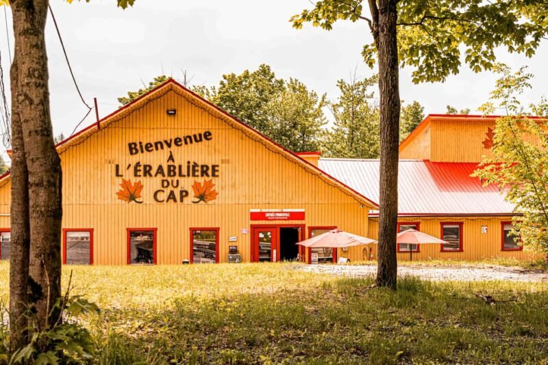 Quebec City (Lévis): self-guided sugar shack tour + meal + maple taffy - Practical Considerations
