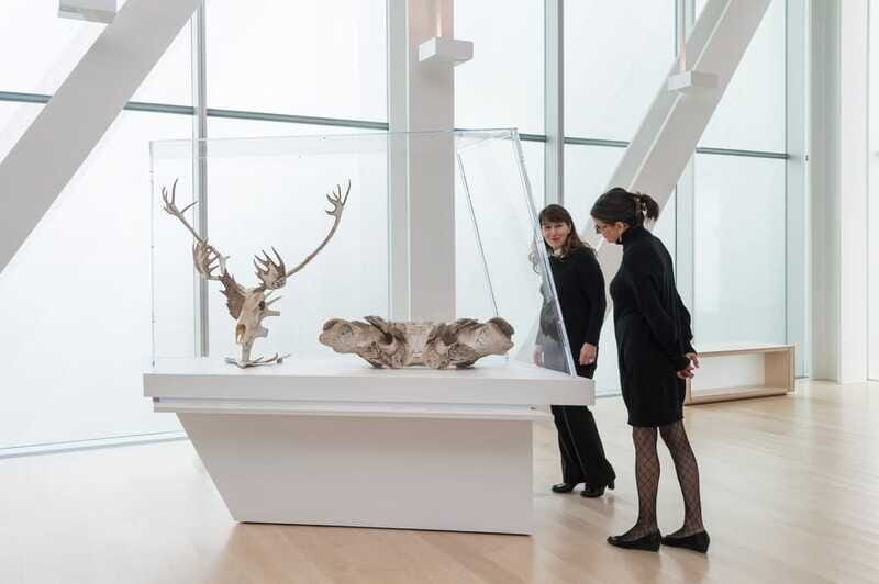 Quebec City: MNBAQ National Fine Arts Museum Entry Ticket - Visiting Experience and Visitor Tips