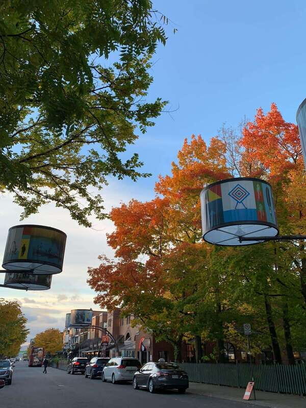 Quebec City: Montcalm & St-Jean Baptiste Walking Tour (2,5h) - The Neighborhoods: Past and Present