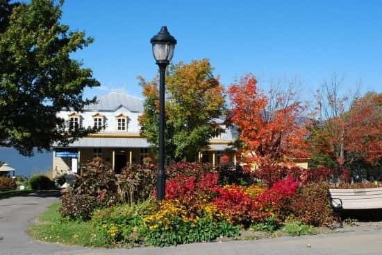 Quebec: City Tour, Montmorency Falls & Île d'Orléans Tour - What to Expect During Your Day