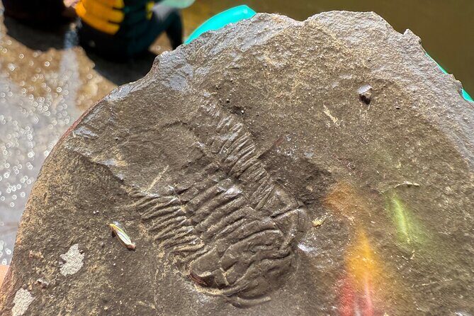 Quebec: Guided Rafting and Inflatable Kayaking Family Activity - The Sum Up