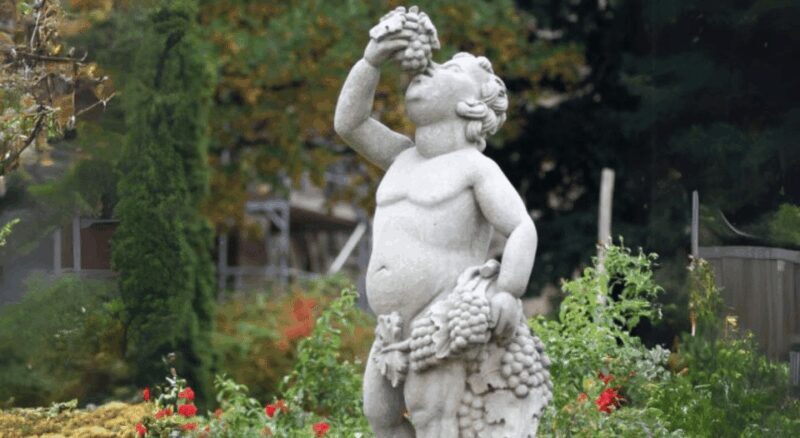 Quedlinburg UNESCO World Heritage Group Tour (private) - Who Will Love This Tour?