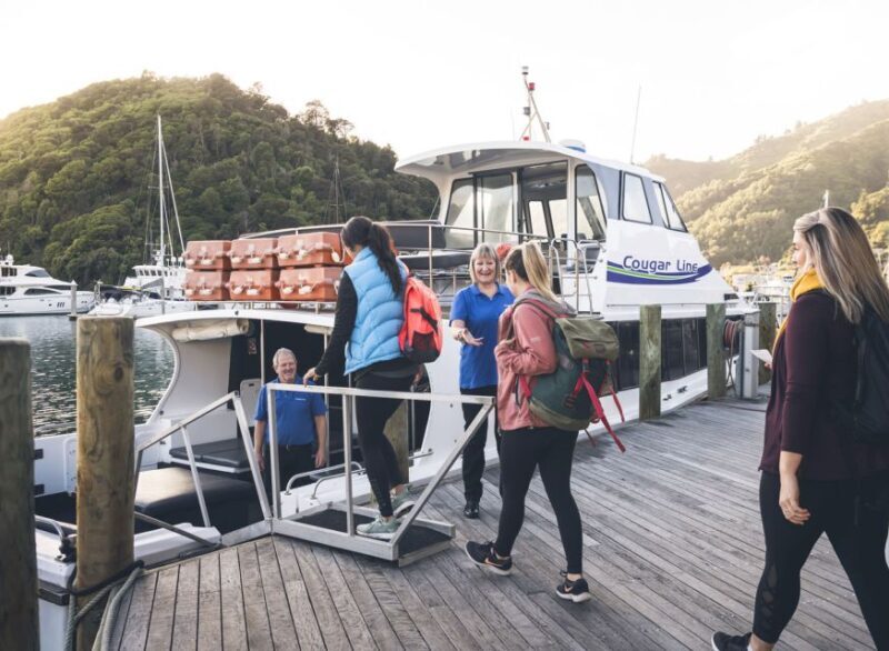 Queen Charlotte Sound Cruise with Lunch - An In-Depth Look at the Experience