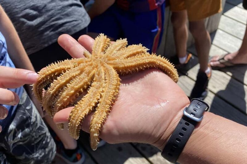 Queen Charlotte Sound: Lochmara Cruise and Explore 9-4 - Key Points