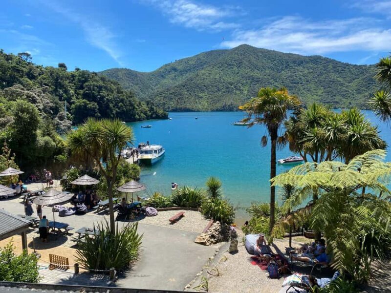 Queen Charlotte Sound: Lochmara Cruise & Explore 9-2.45 - Starting Point and Departure