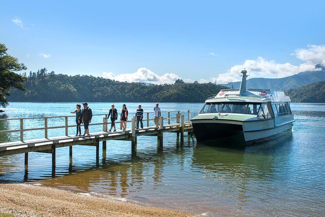 Queen Charlotte Sound Mail Boat Cruise - A Deep Dive into the Mail Boat Experience