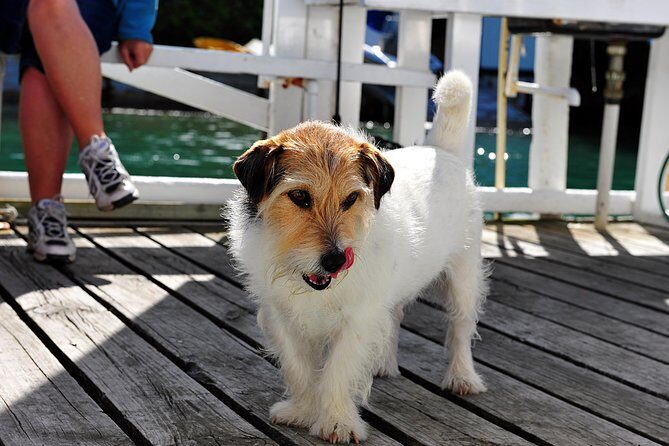 Queen Charlotte Sound Mail Boat Cruise - FAQ