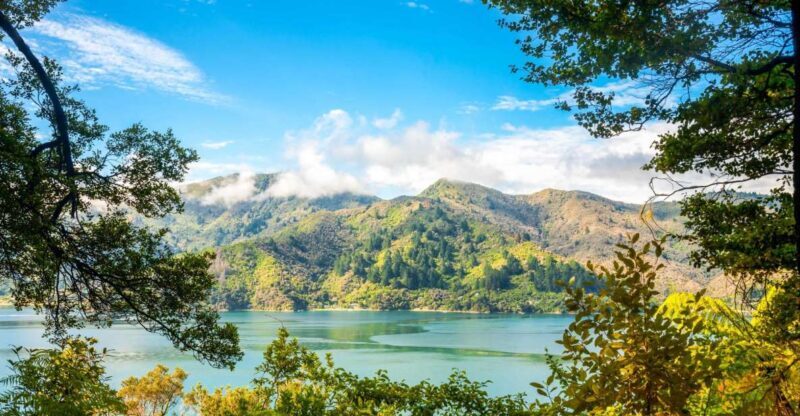 Queen Charlotte Track: Cruise & Self-Guided Hike from Picton - Key Points