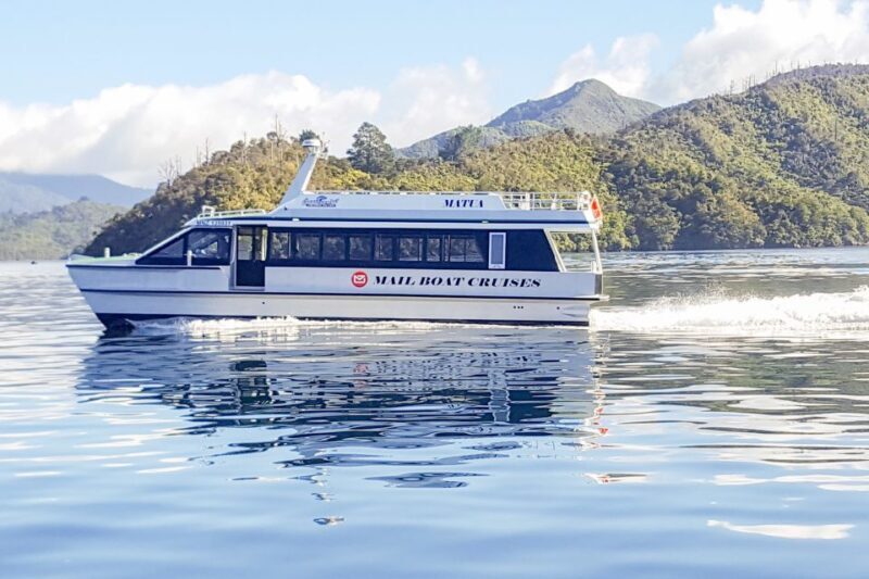 Queen Charlotte Track: Cruise & Self-Guided Hike from Picton - A Day of Water, Wilderness, and Walking