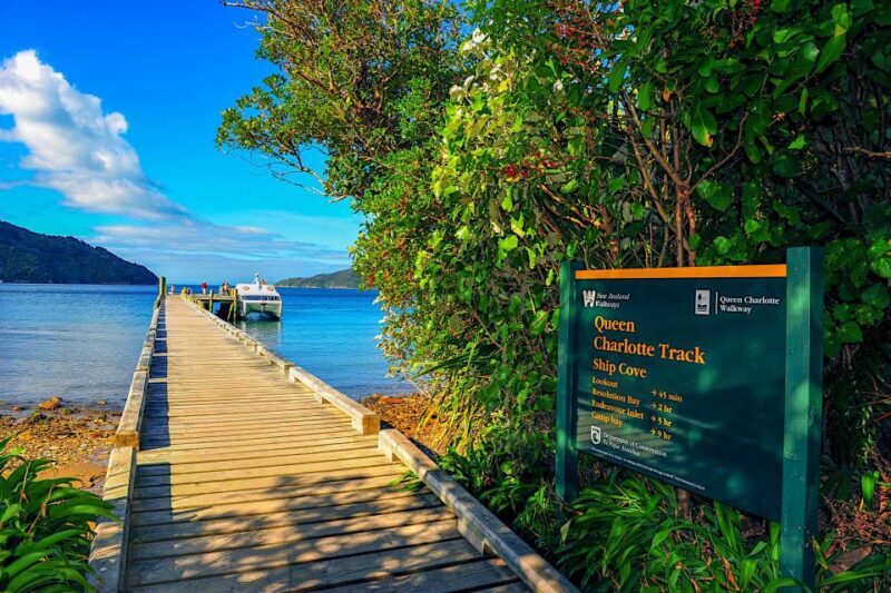 Queen Charlotte Track: Cruise & Self-Guided Hike from Picton - Evaluating the Cost and Value