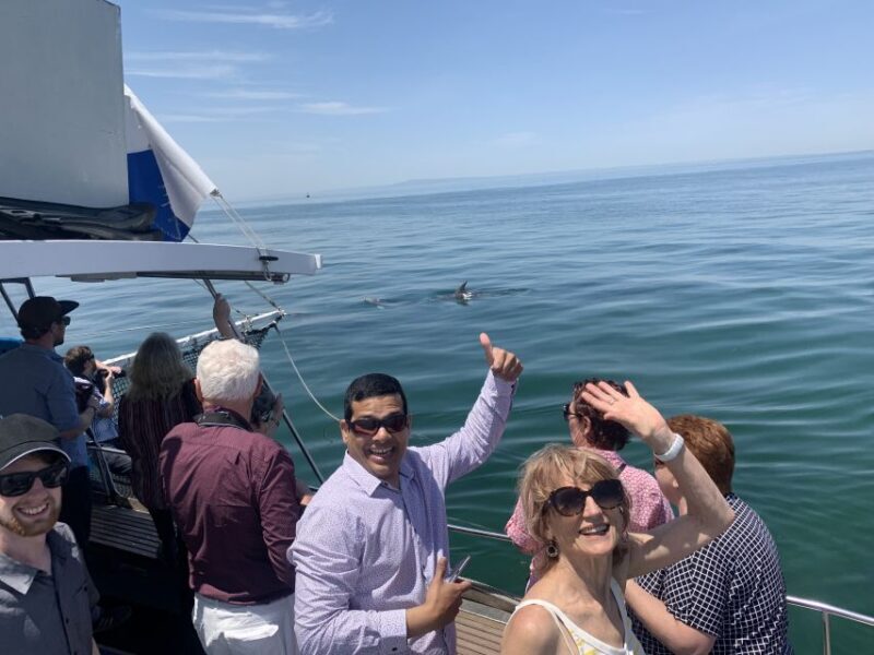 Queenscliff: 1.5hr Harbour Wildlife Sightseeing Cruise Tour - FAQ