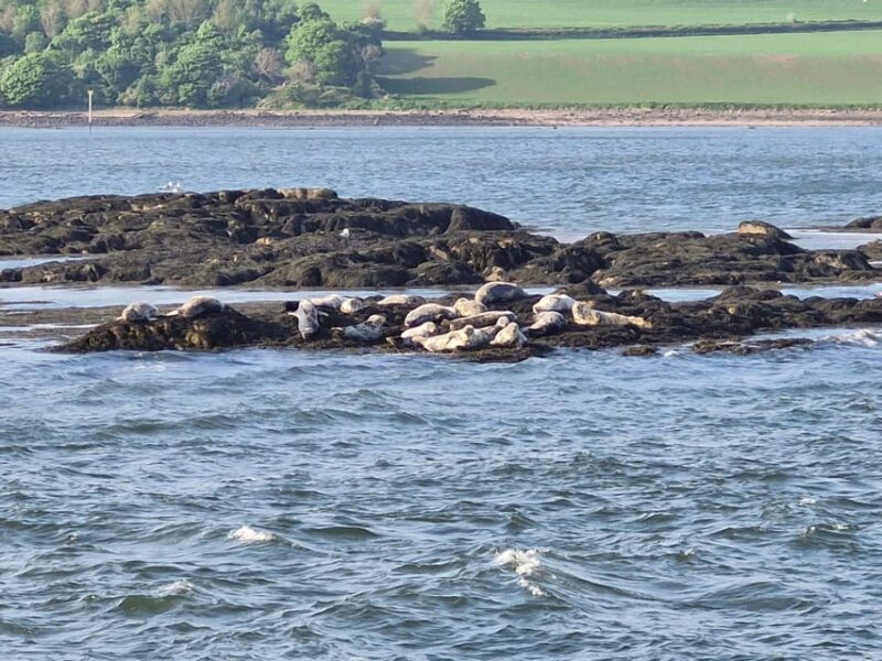 Queensferry: Sightseeing Cruise to Inchcolm Island - What Travelers Say