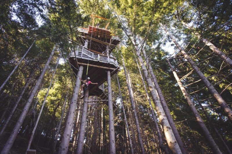 Queenstown: 1-Hour Zipline Tour with 2-Lines & 21-Meter Drop - The Views and the Thrill: What You’ll Love