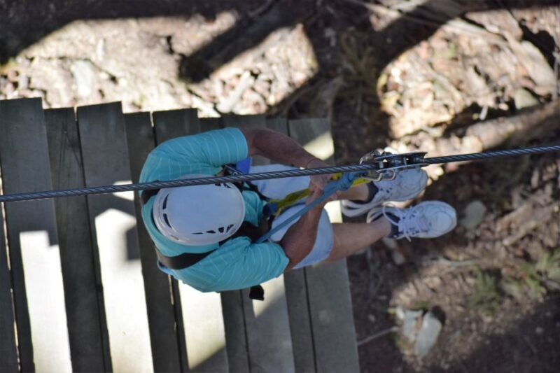 Queenstown: 2-Hour Zipline Tour with 4-Lines - An Overview of the Queenstown Zipline Experience