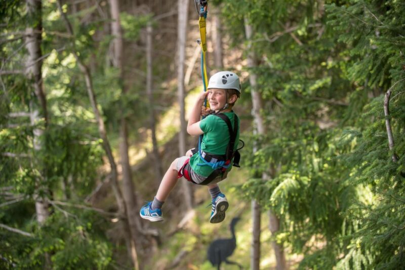 Queenstown: 2-Hour Zipline Tour with 4-Lines - Values and Pricing: Is it Worth It?