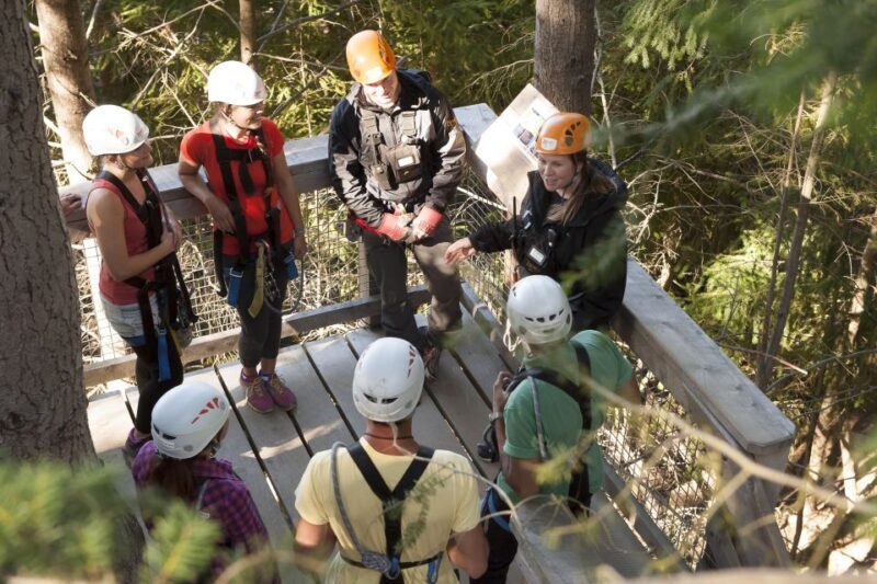 Queenstown: 3-Hour Zipline Adventure with 6-Lines - Key Points