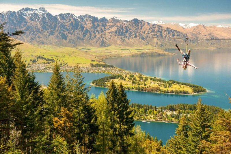 Queenstown: 3-Hour Zipline Adventure with 6-Lines - Experience Overview