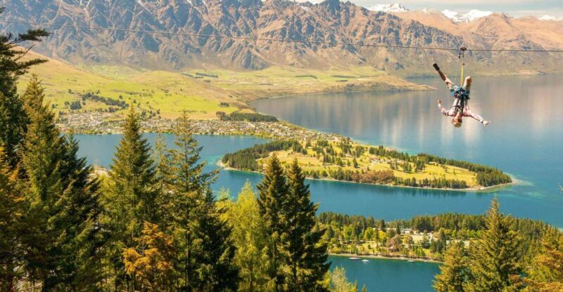 Queenstown: 3-Hour Zipline Adventure with 6-Lines - The Value of the Experience