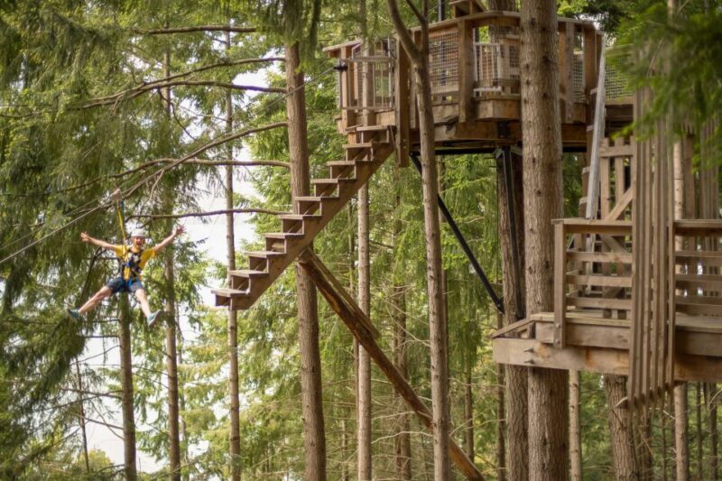 Queenstown: 3-Hour Zipline Adventure with 6-Lines - Who Will Love This Tour?