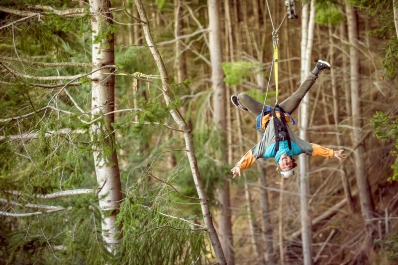 Queenstown: 3-Hour Zipline Adventure with 6-Lines - The Sum Up