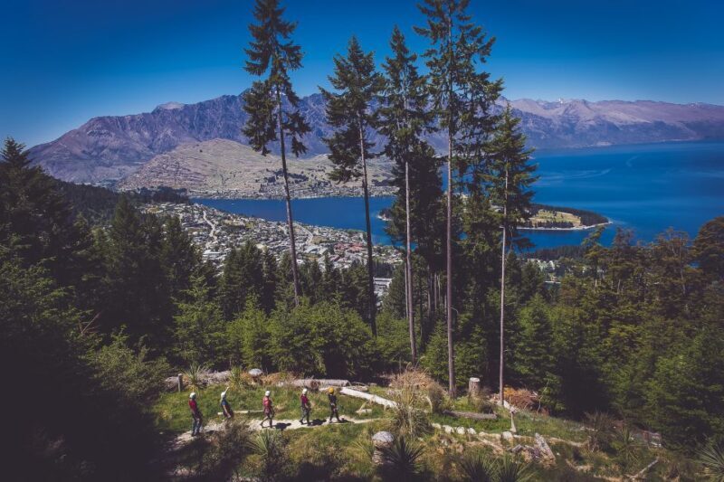 Queenstown: 3-Hour Zipline Adventure with 6-Lines - FAQ