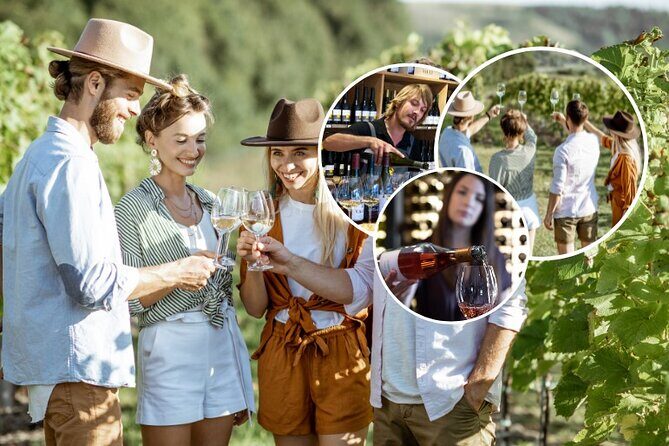 Queenstown Afternoon Wine Tour | Adults Only - The Experience: What You Can Expect