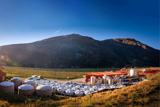 Queenstown Afternoon Wine Tour | Adults Only - Frequently Asked Questions