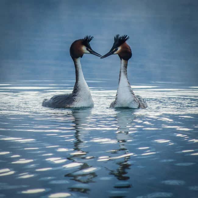 Queenstown and Environs: Full Day Private Photography Tour - FAQ