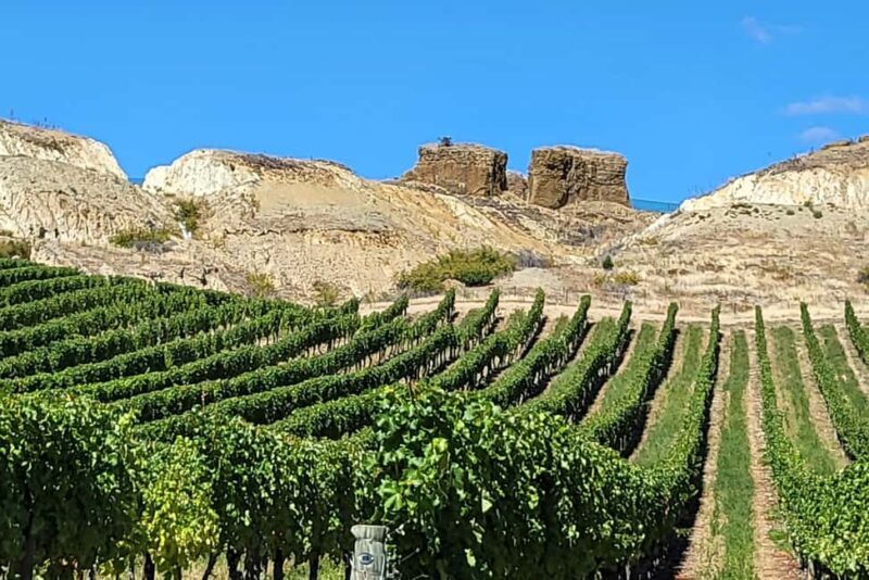 Queenstown: Central Otago Wine Tour - The Detailed Itinerary and What You Can Expect