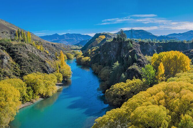 Queenstown Classic Wine Tour: 3 Winery Visits, Cave Tour & Cheese - The Sum Up