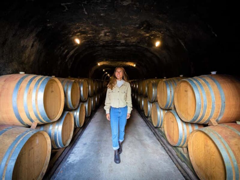 Queenstown: Classic Wine Tour - Key Points