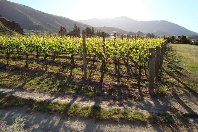 Queenstown Gin and Whiskey tours - Who Should Consider This Tour?