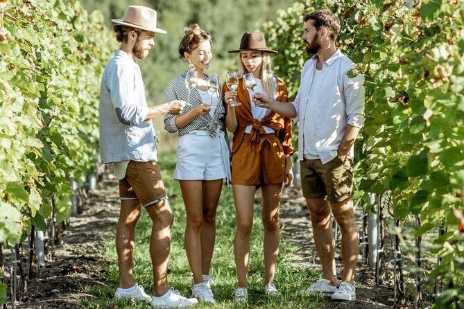 Queenstown Gin, Wine & Beer Tour | Adults Only - Who Will Love This Tour?