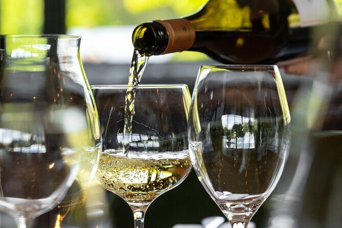 Queenstown Gin, Wine & Beer Tour | Adults Only - Final Thoughts