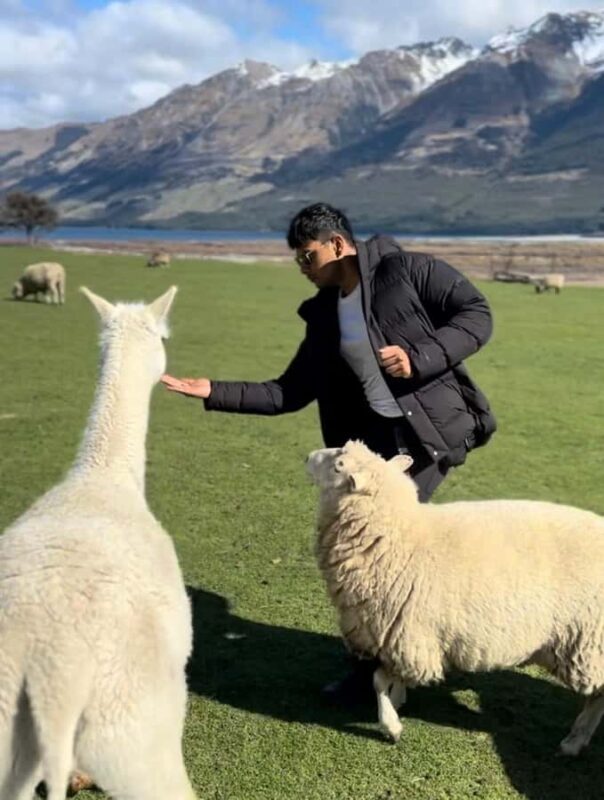 Queenstown: Glenorchy Private Tour with Hotel Pickup - The Sum Up