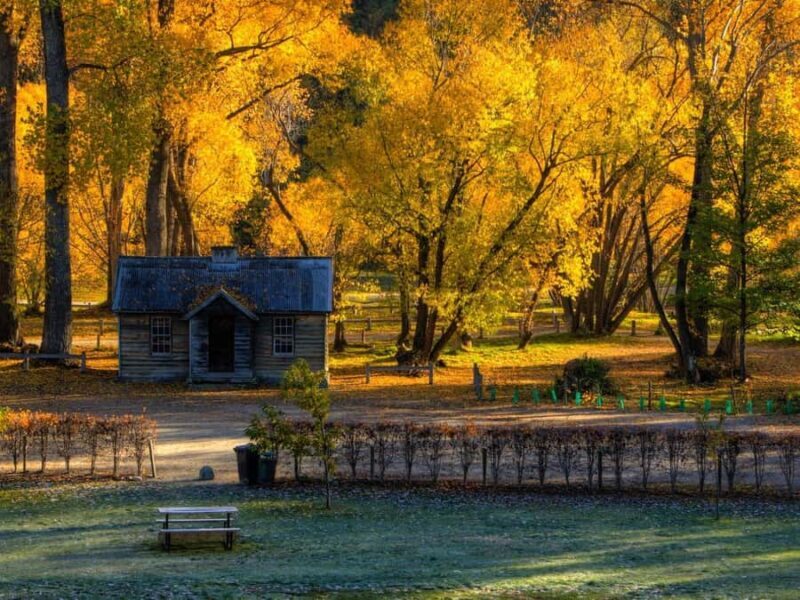 Queenstown: Highlights Tour with Wine Tasting - Deep Dive into the Itinerary