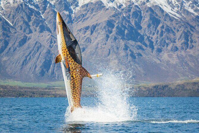 Queenstown Hydro Attack Shark Ride Adventure - Price and Value Analysis