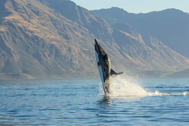 Queenstown: Hydro Attack Shark Ride - Setting the Scene: Queenstown’s Adventure Capital