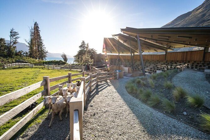 Queenstown Lake Cruise and Walter Peak Farm Adventure - Authentic Experiences That Delight